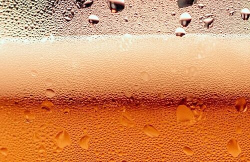 25 Witty Beer Quotes & Captions - On the Line | Toast POS