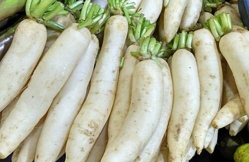 What is Daikon? - Meaning, Description - On the Line | Toast POS